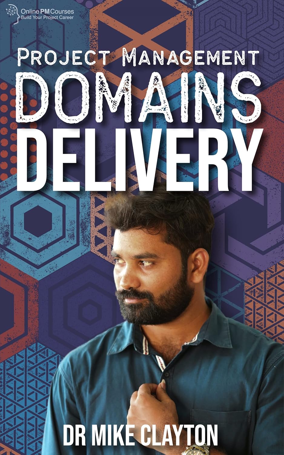 Amazon.com: Project Management Domains: DELIVERY: Delivery Performance ...