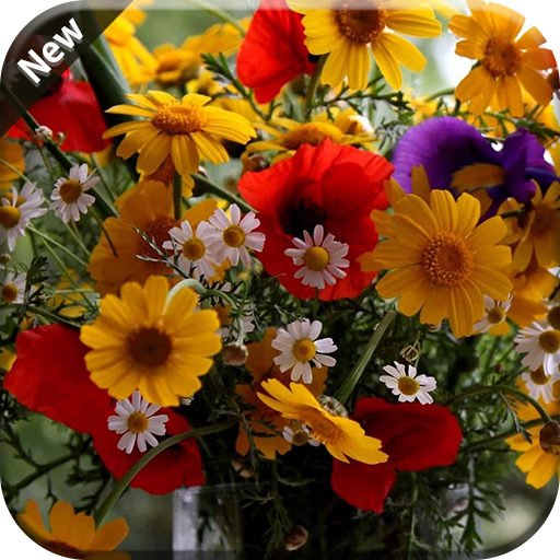 Flowers Wallpaper Hd - App on Amazon Appstore