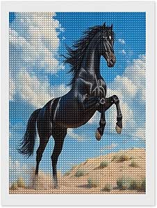 Amazon.com: Wild Black Stallion Horse Diamond Painting Kits for Adults ...