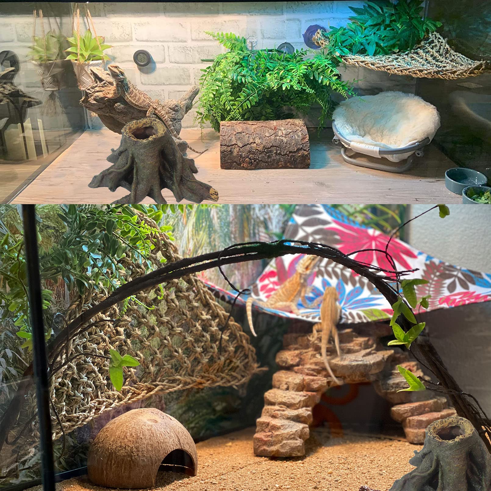 Snapklik.com : Kathson Reptile Tree Stump Decoration,Bearded Dragon ...