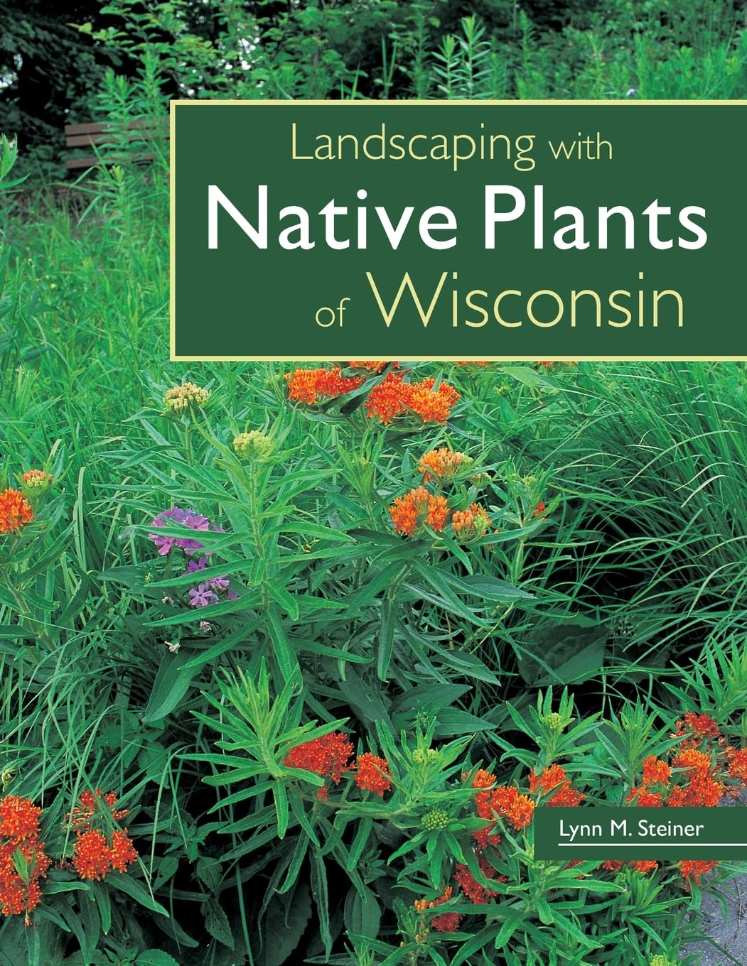 Wisconsin Weeds Exploring Plants — Southern Wisconsin Bird Alliance
