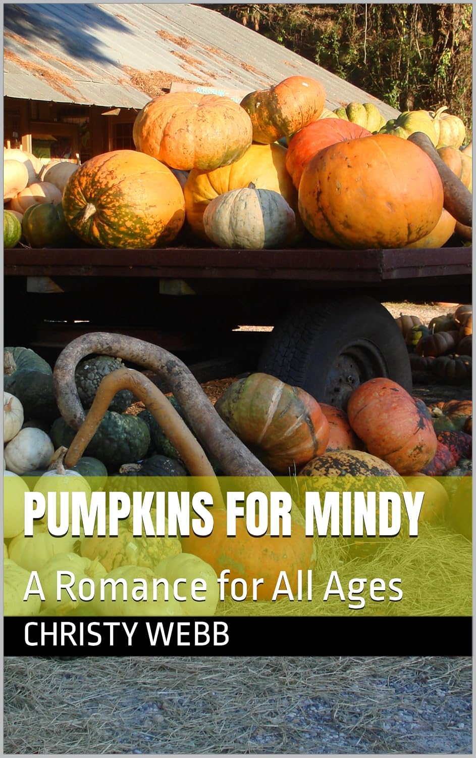 Pumpkins for Mindy: A Romance for All Ages - Kindle edition by Webb ...