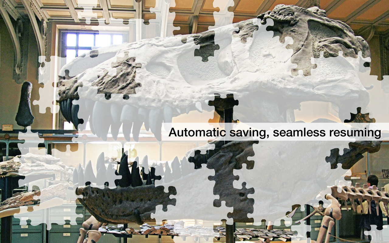 Dinosaur Fossil Jigsaw Puzzles - App on Amazon Appstore