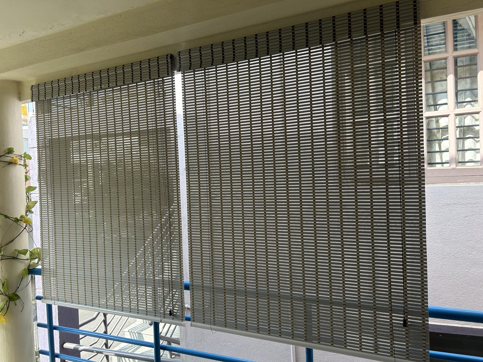 Buy Mr.Chickwala Light Filtering & Cooling PVC Exterior & Interior ...