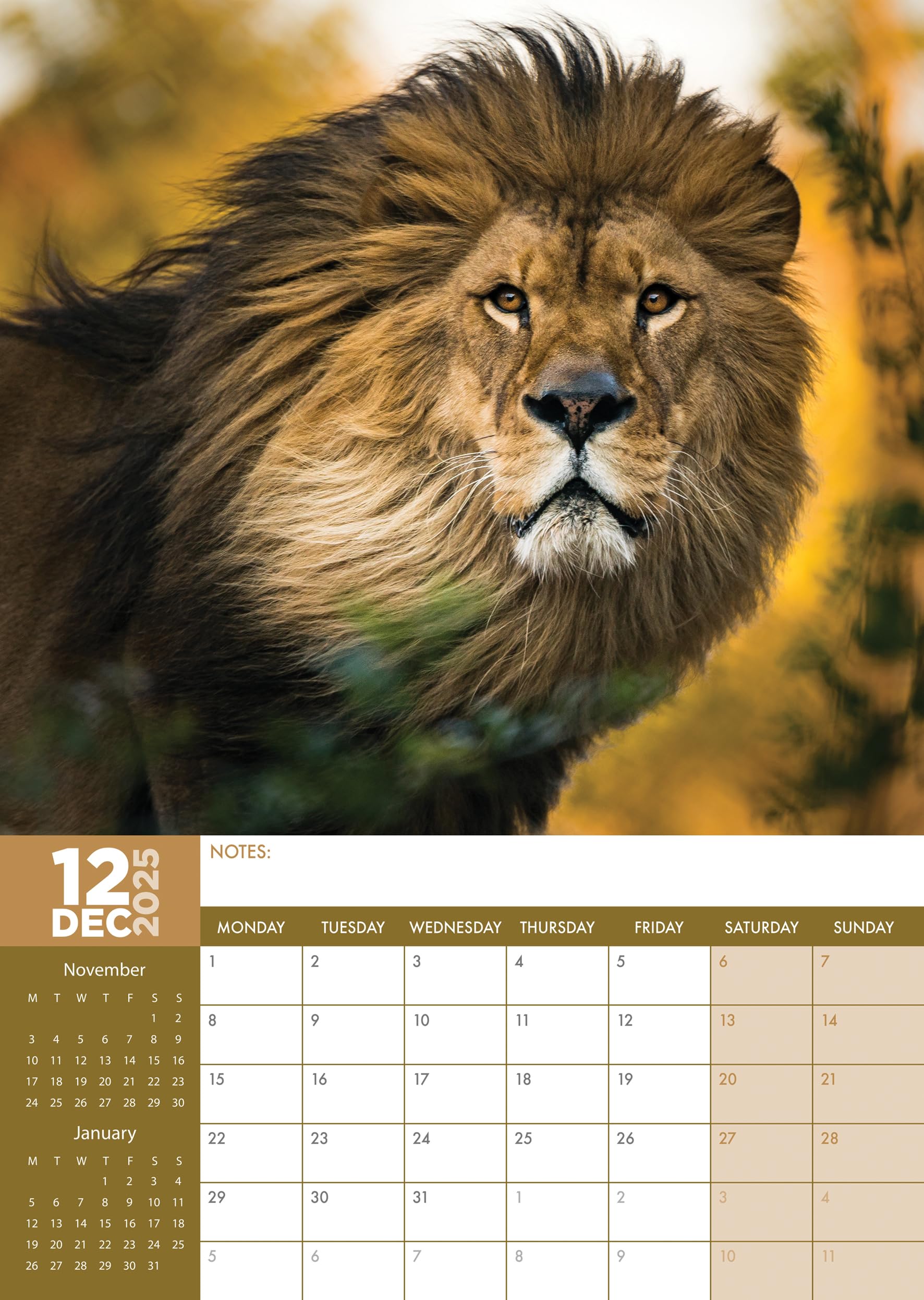 Lions 2025 – A3 Size Wirobound Calendar – BigaMart