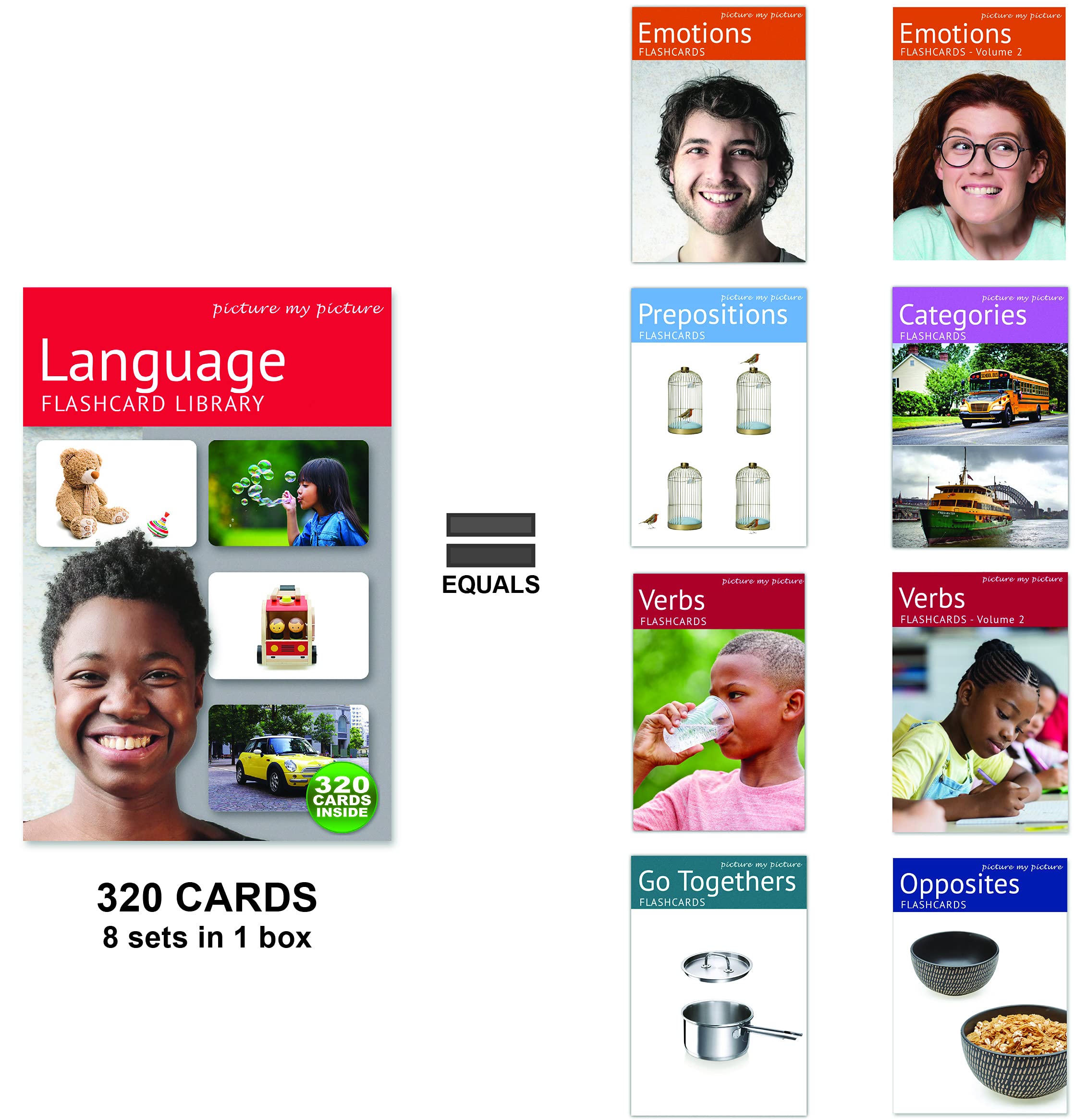 Buy Picture My Picture Language Flash Card Library | Emotions, Verbs ...
