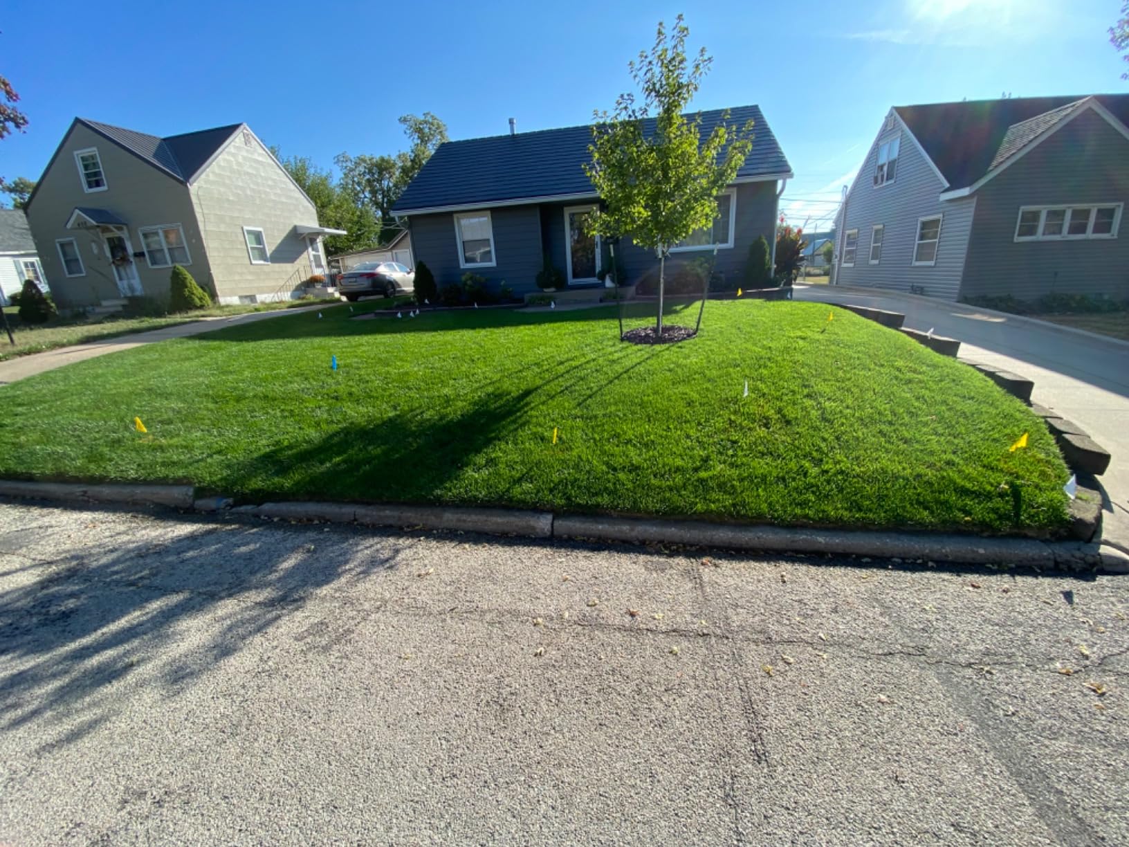 Amazon.com : 13-13-13 Super Rainbow 50lb Fertilizer : Patio, Lawn & Garden