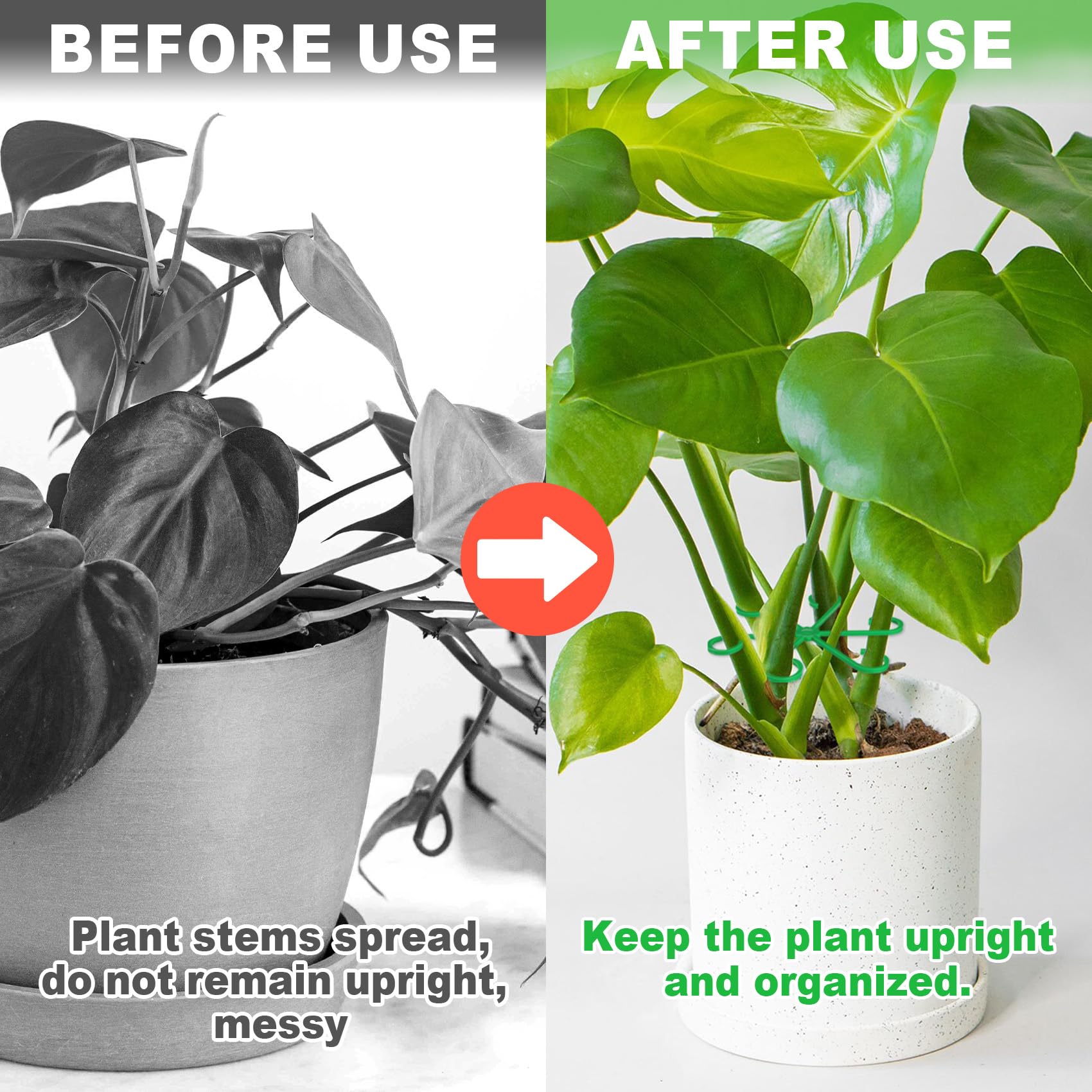 Snapklik.com : PAGOW 8 Pcs Climbing Houseplant Stem Supports, Plastic ...