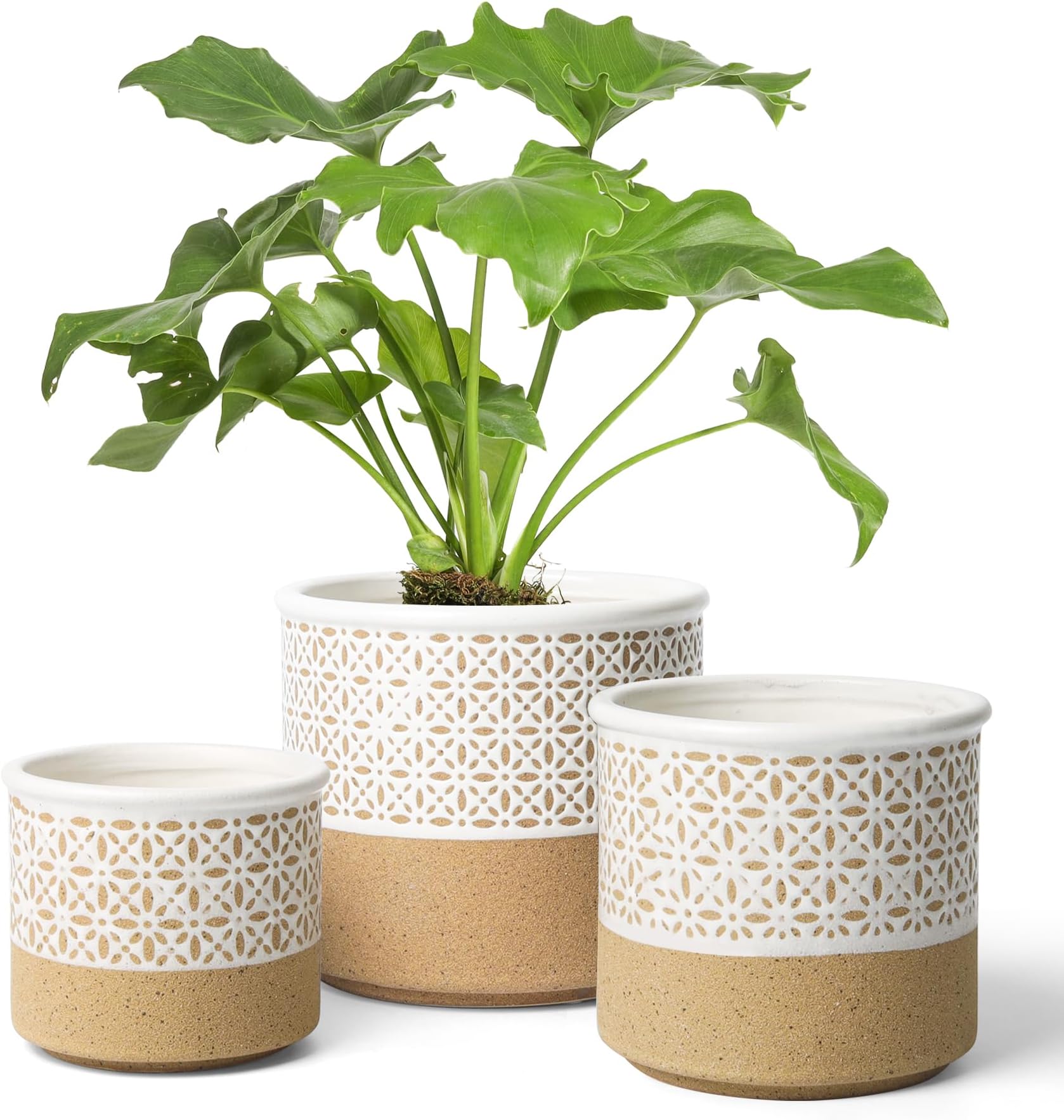 Amazon.com: Mozing Cement Plant Pot Set Indoor - Modern Concrete Flower ...