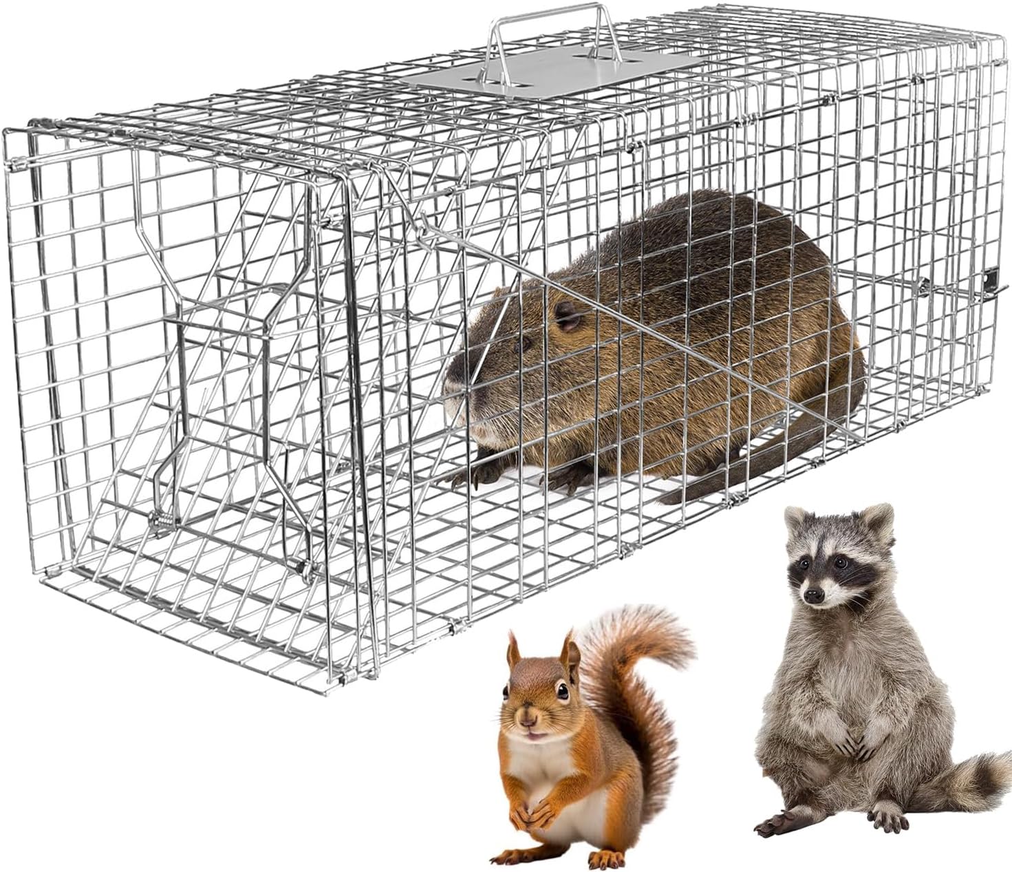 Amazon.com : ECOOOL Large Live Animal Trap Cage 30""x11""x12"" Collapsible Heavy Duty Humane ...