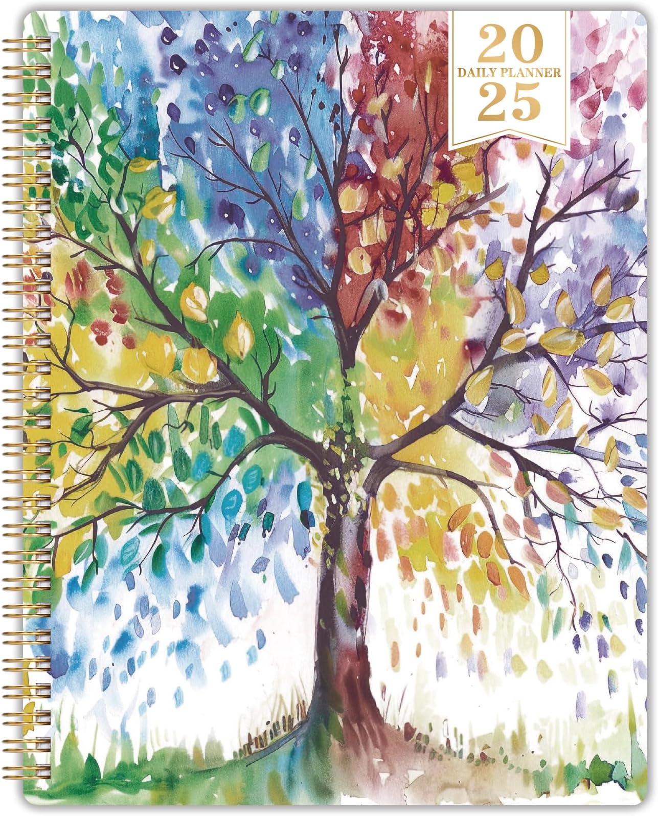 Amazon.com : 2025 Diary - Daily Planner 2025 from Jan. 2025 - Dec. 2025, Appointment Book 5.75 ...