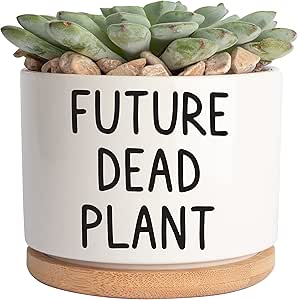Amazon.com: JENVIO Future Dead Plant | Ceramic Succulent Pot Plant ...