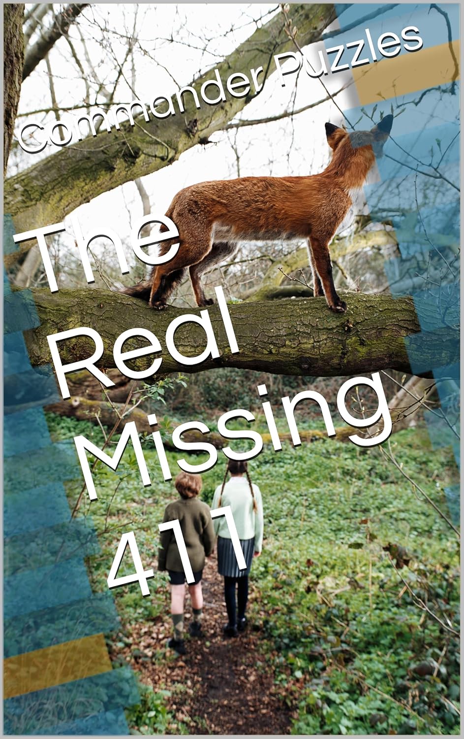 The Real missing 411 - Kindle edition by Puzzles, Commander, Hemming ...
