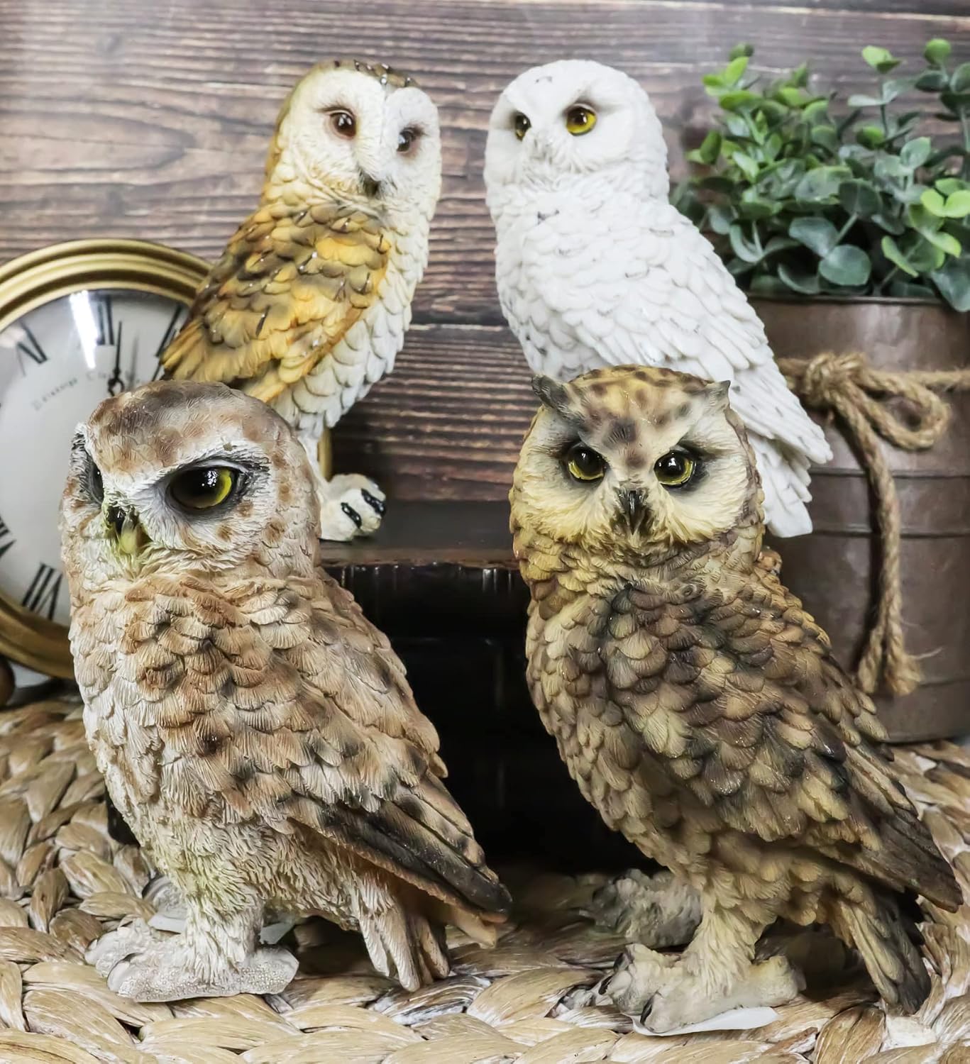 Ebros Gift Owls of The World Colorful Realistic Nocturnal Owl Birds ...