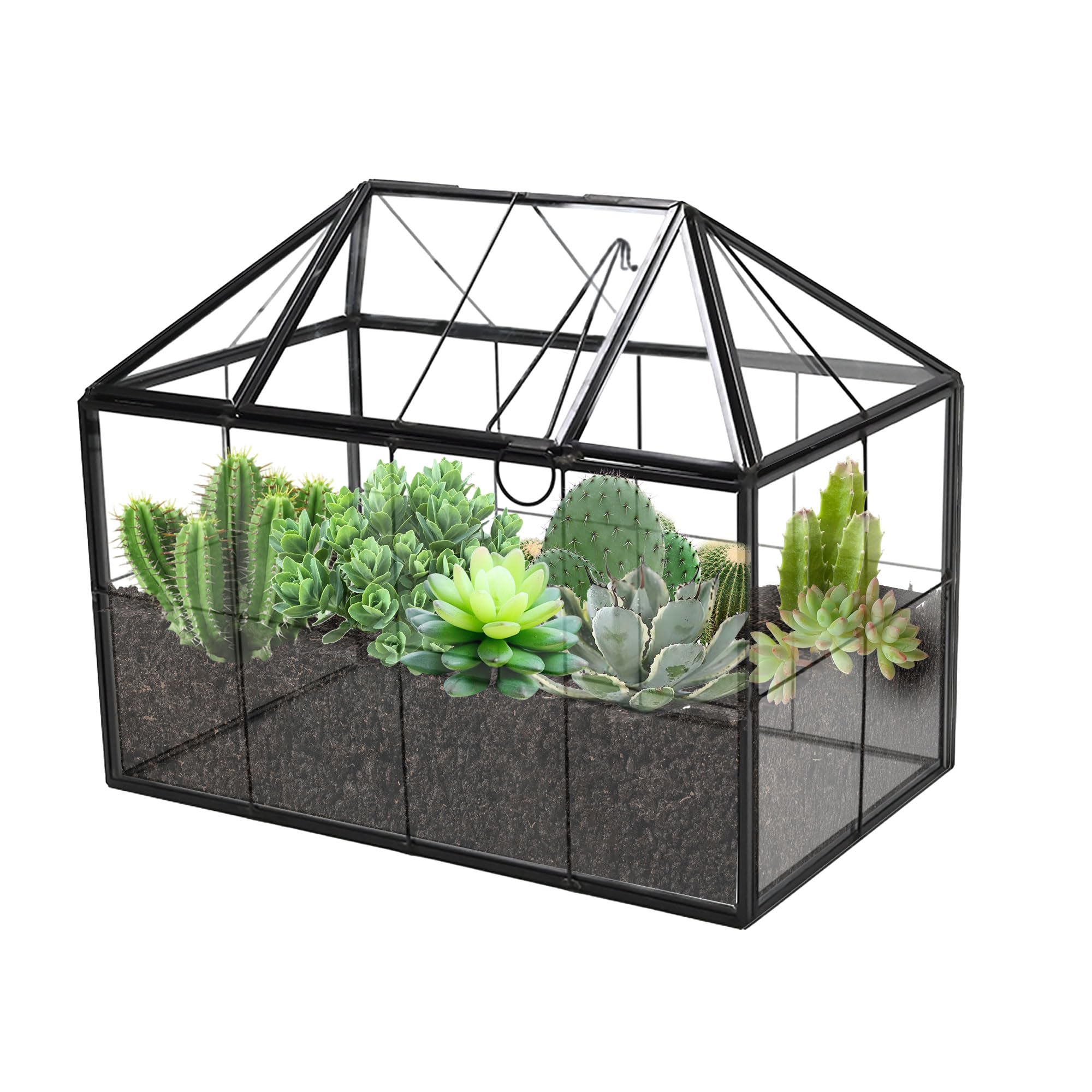 Tabletop Terrarium For Indoors