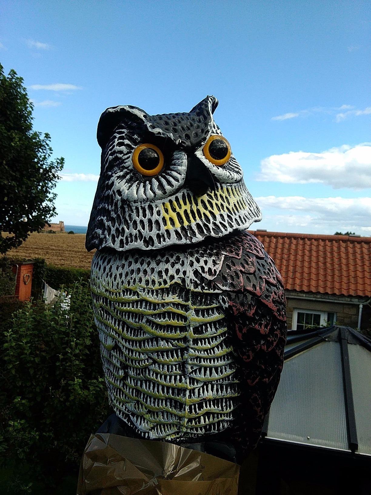 Woodside Large Realistic Owl Decoy With Rotating Head Bird/Pigeon/Crow ...