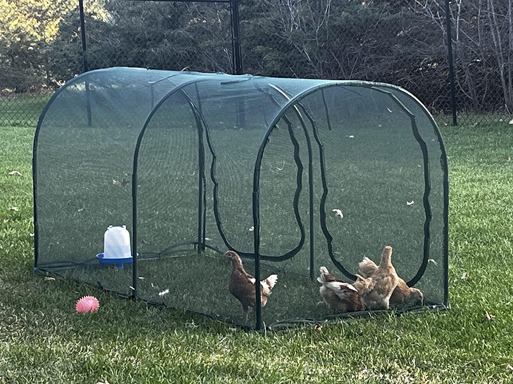 $11/mo - Finance Portable Chicken Run Hen Coop,Walk-in Poultry House ...