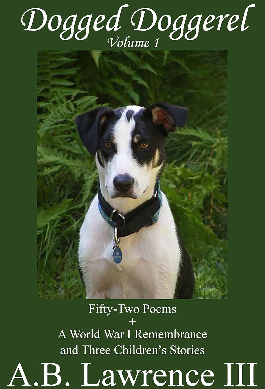 Amazon.com: Dogged Doggerel: Fifty-Two Poems + A World War I ...