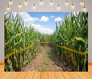 Amazon.com : BELECO 12x8ft Fabric Cornfield Backdrop Farmland Green ...
