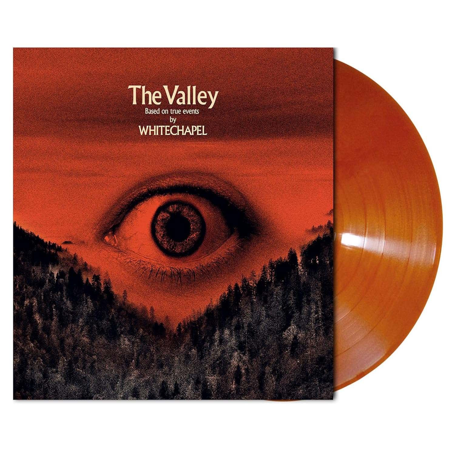 Amazon.com: The Valley: CDs & Vinyl