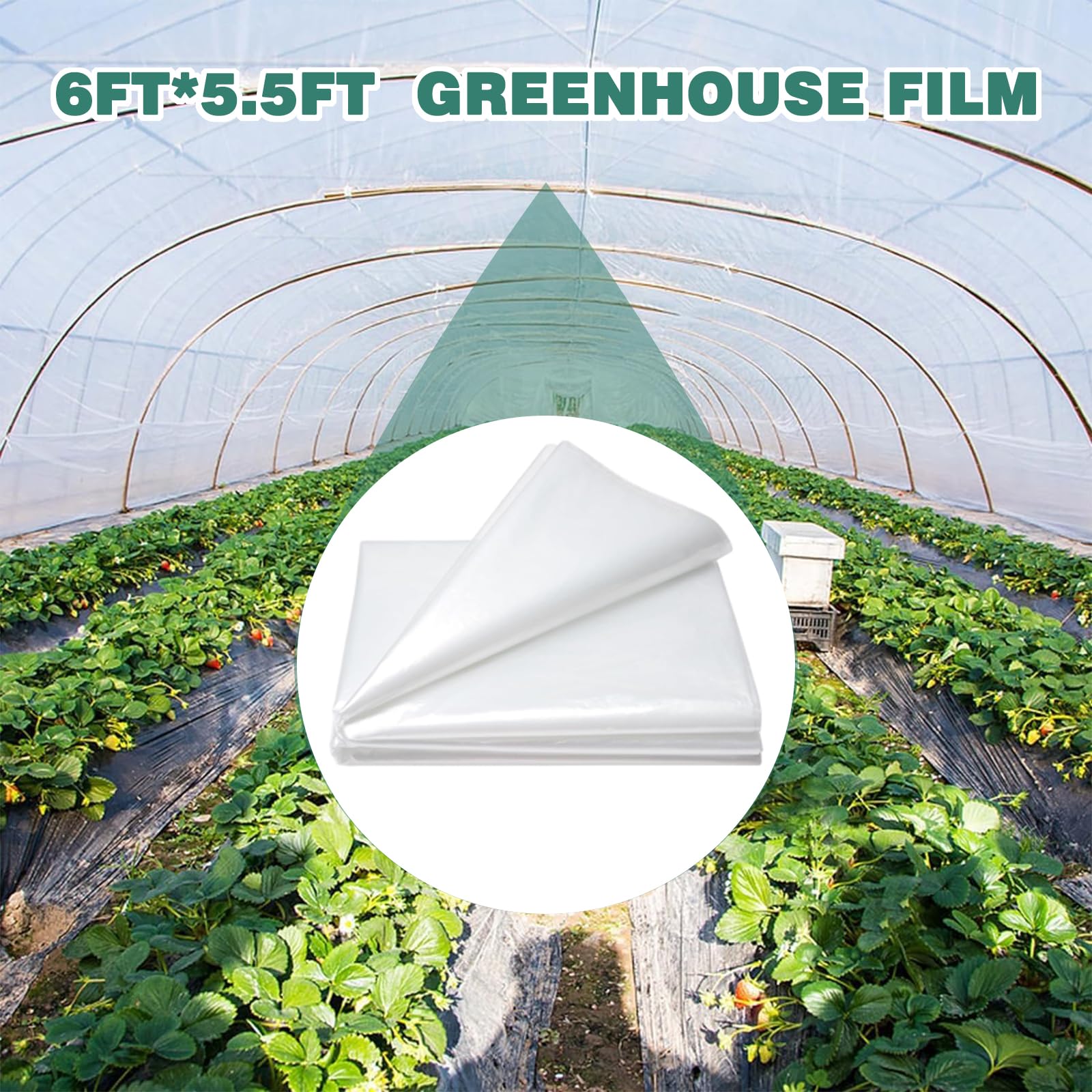 Snapklik.com : Arilaca 6 Mil Greenhouse Plastic Sheeting 9.8 Ftx 26 Ft ...