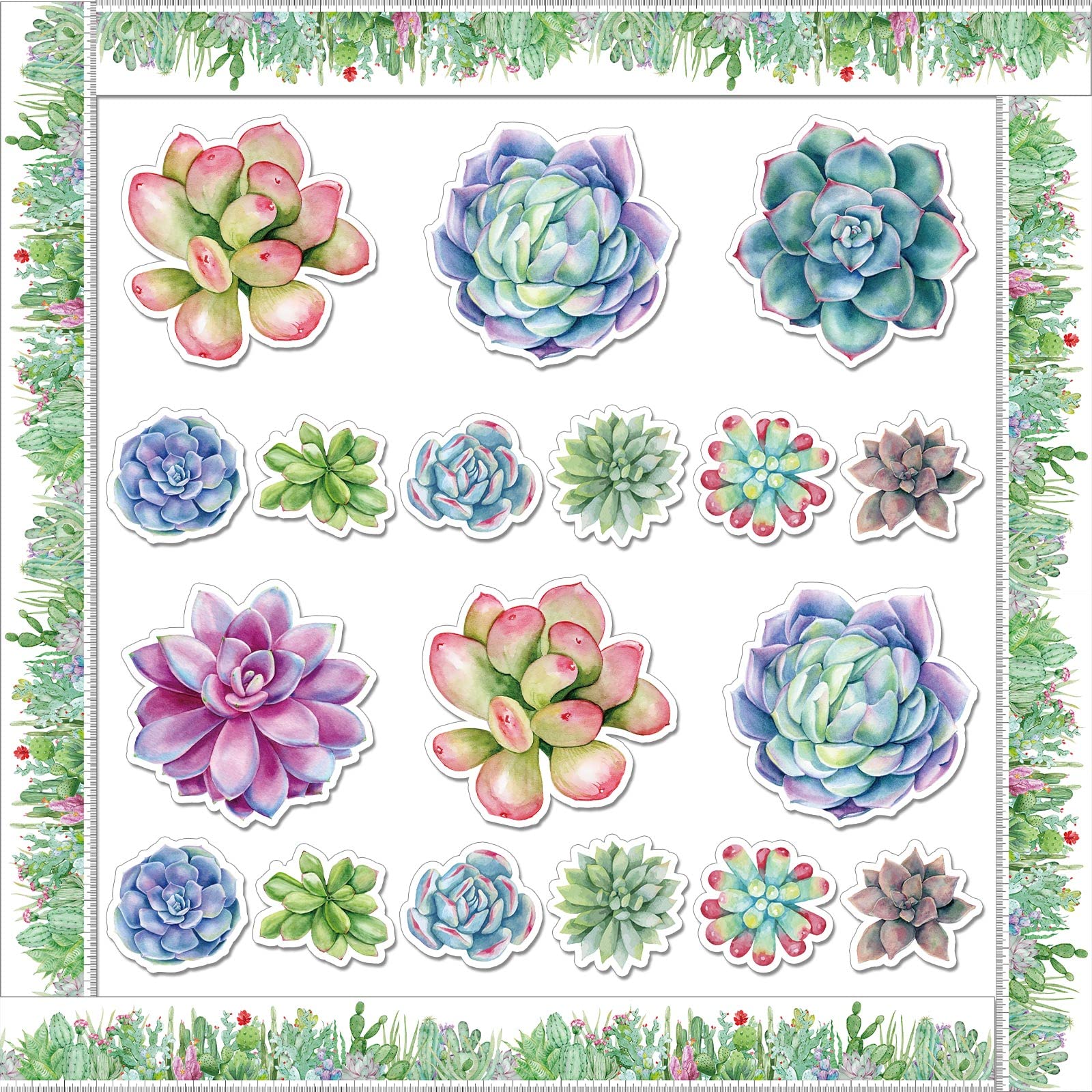Buy 60 Pcs Watercolor Succulent Bulletin Board Borders Cactus Succulent ...