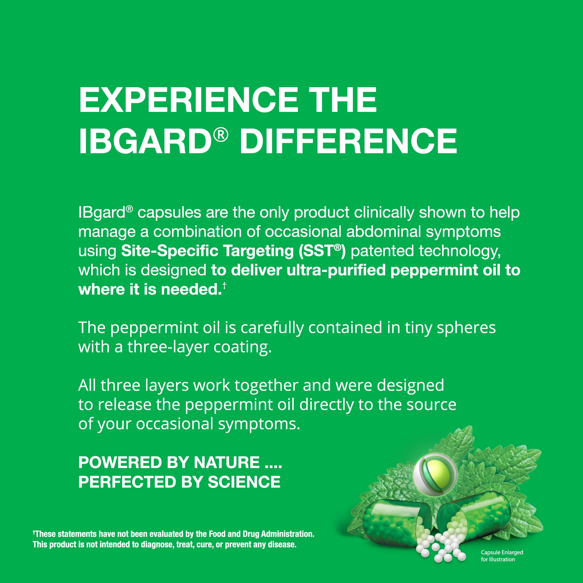 Buy IBgard Daily Gut Health Support Dietary Supplement, 96 Capsules ...