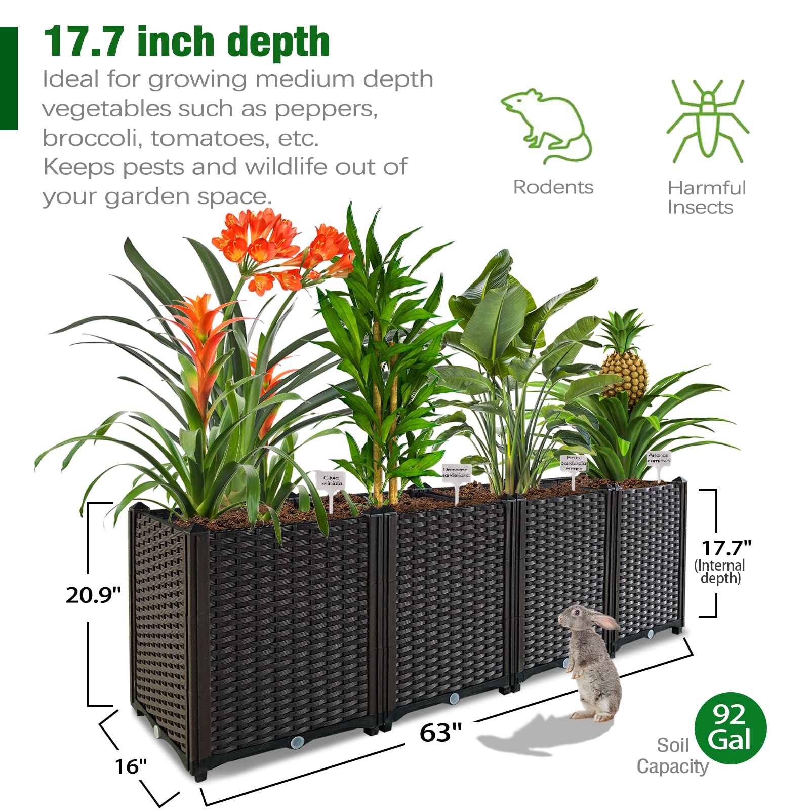 Planter Box For Depth Of Vegetables Amazon.com: NAVINE 6x3x2 Ft Raised