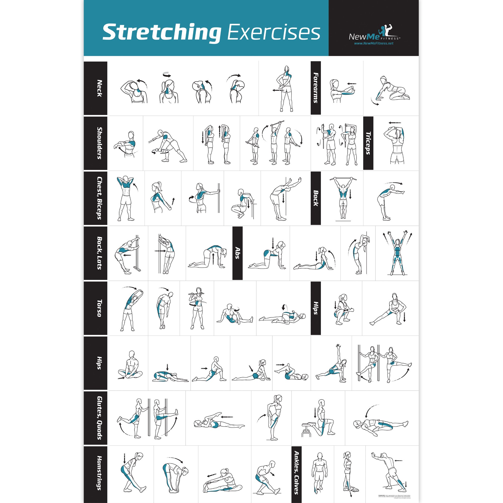 Stretching Exercise Poster Laminated Shows How To Stretch Specific ...