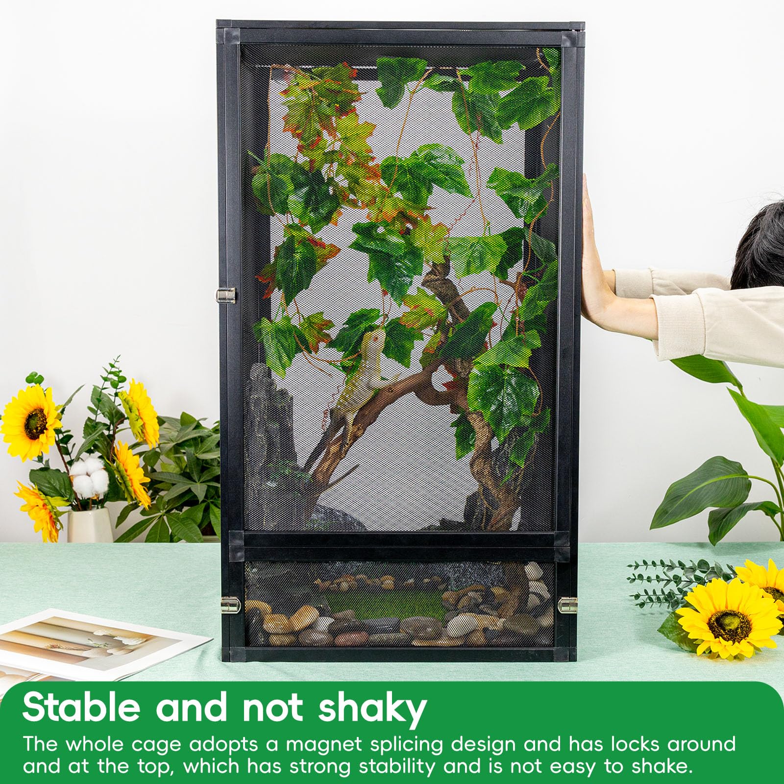 BINANO 45-Gal Detachable and Foldable Reptile Terrarium, 360 ...