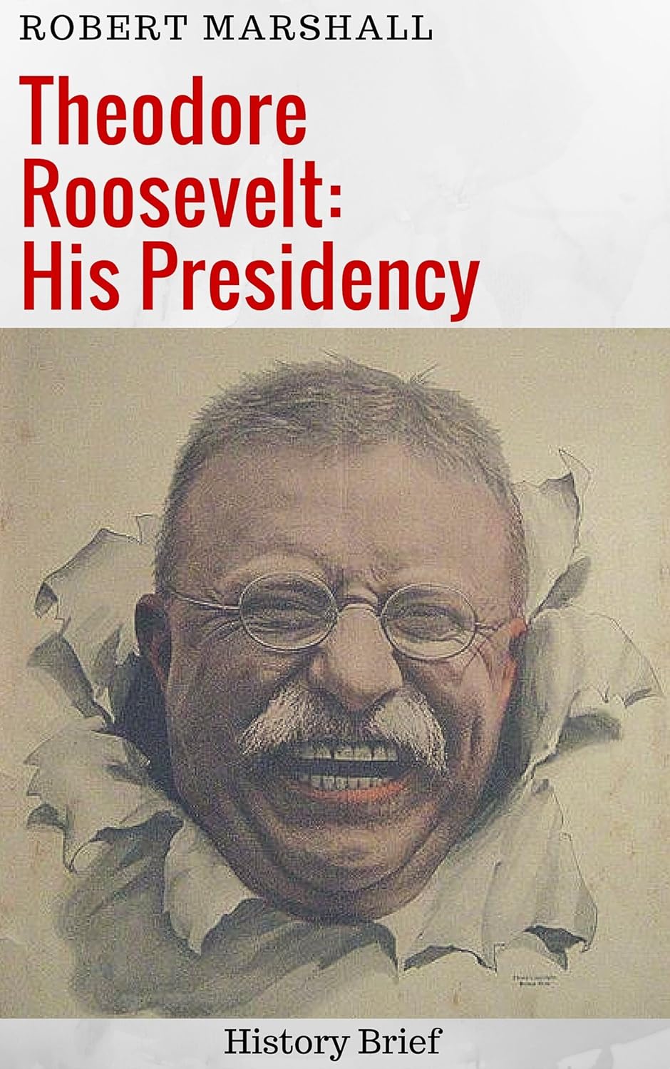 Amazon.com: Theodore Roosevelt: His Presidency (History Brief) eBook ...