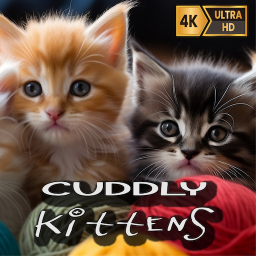 Cuddly Kittens Screensaver 4K - App on Amazon Appstore