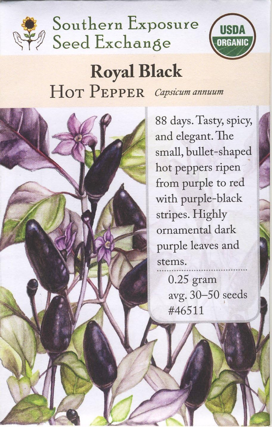 Amazon.com : Honeyman Farms Pepper, Hot Royal Black Seed Packet ...