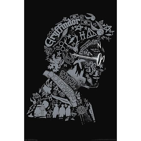 Amazon.com: Trends International The Wizarding World: Harry Potter ...