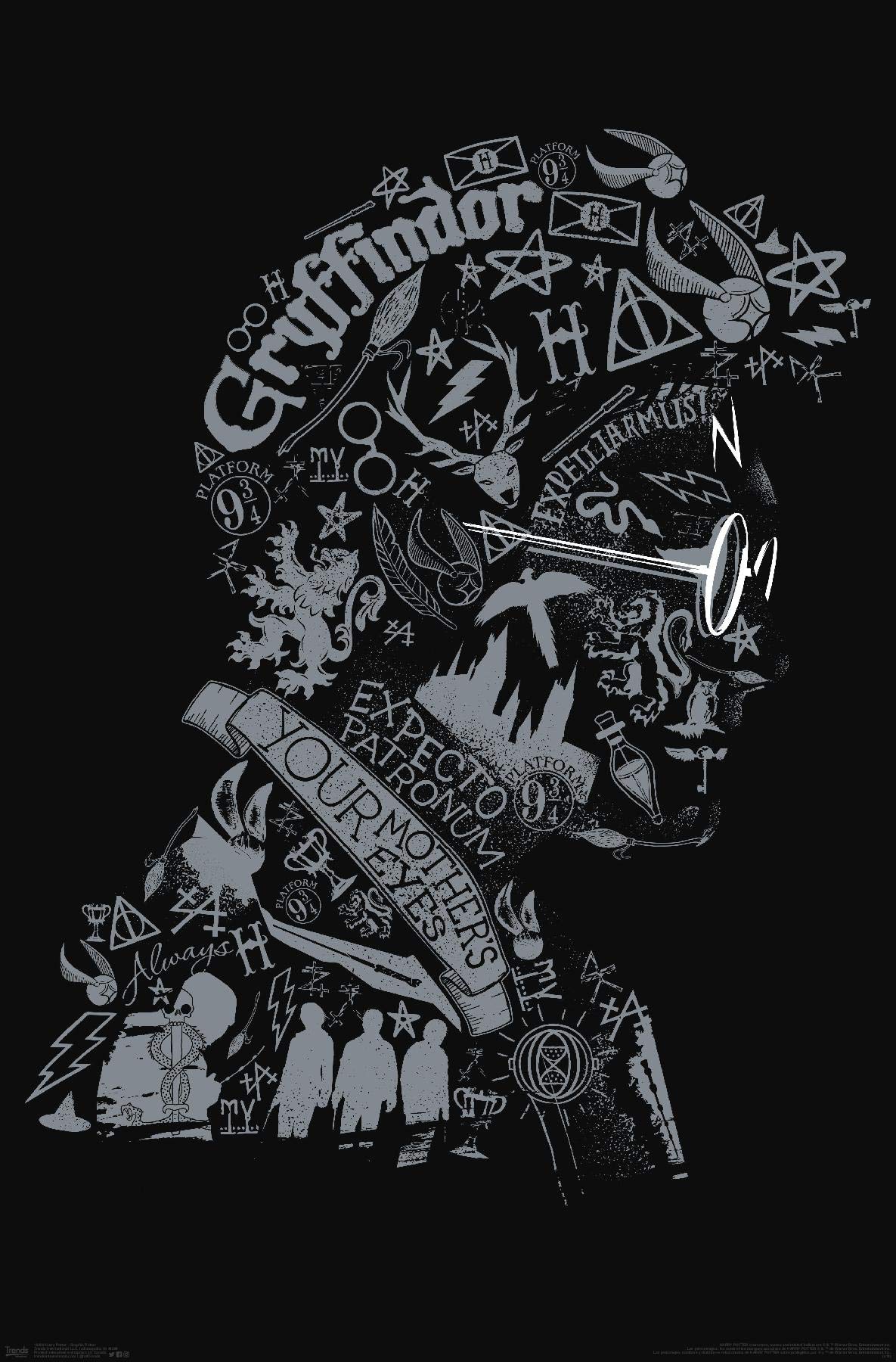 Amazon.com: Trends International The Wizarding World: Harry Potter ...