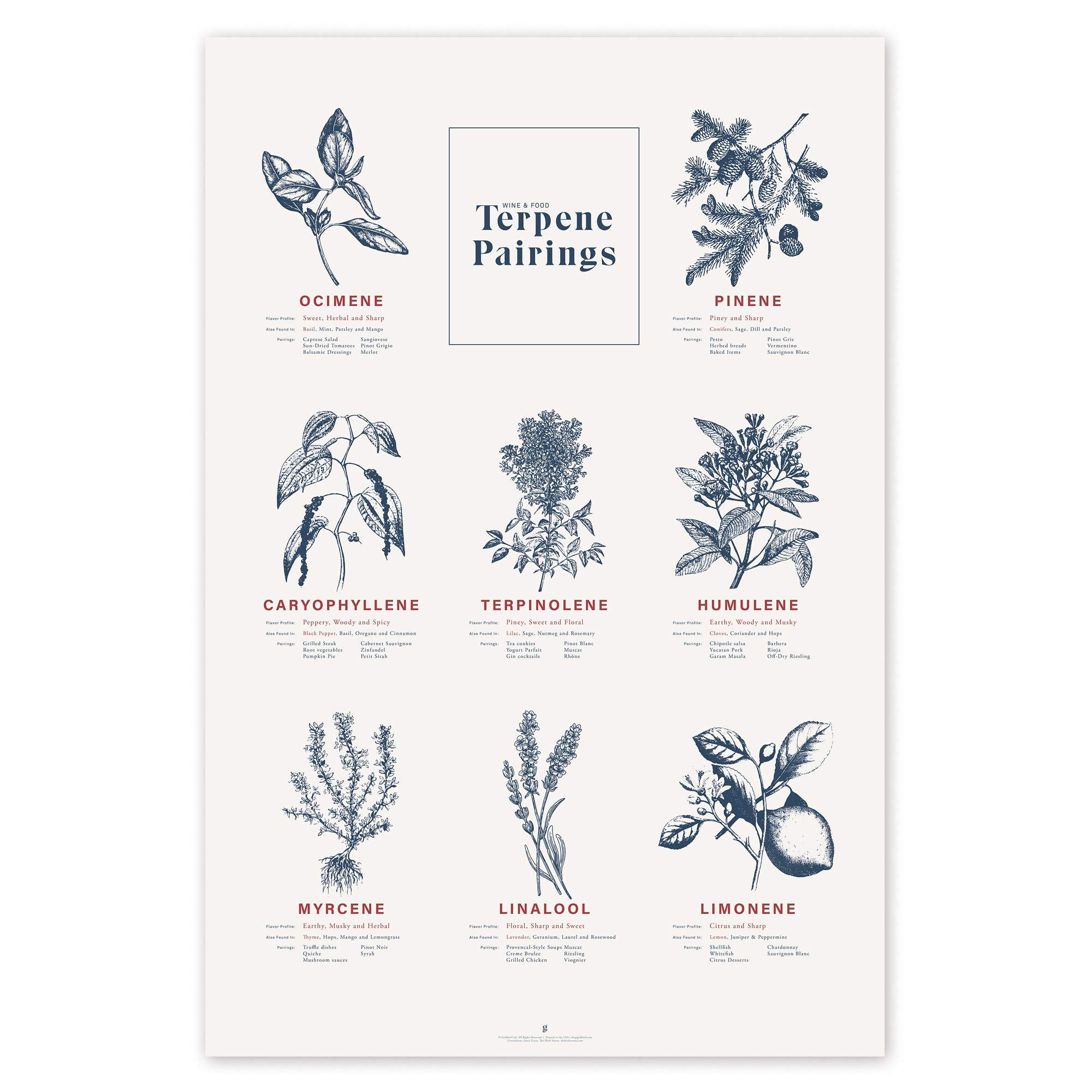 Hops Infographic Poster