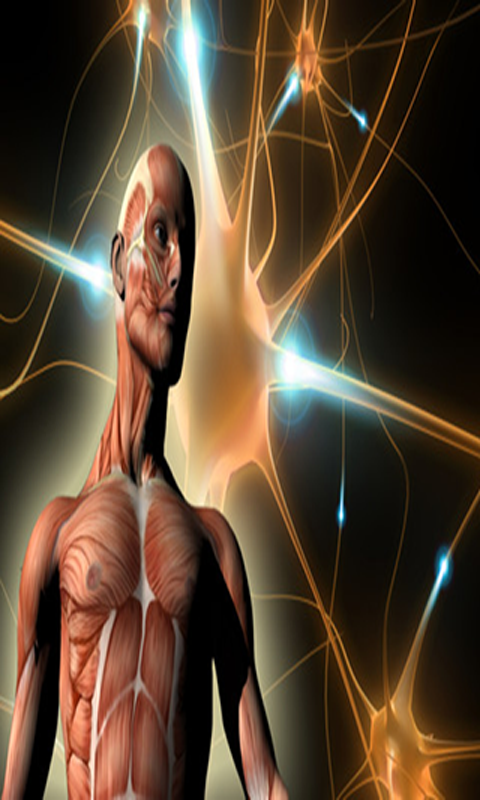 Astounding Facts about the human body - App on Amazon Appstore