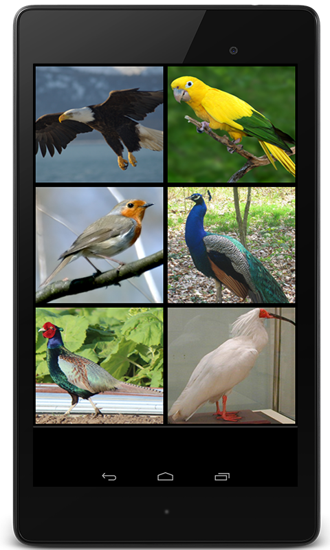 Birds Sounds - App on Amazon Appstore