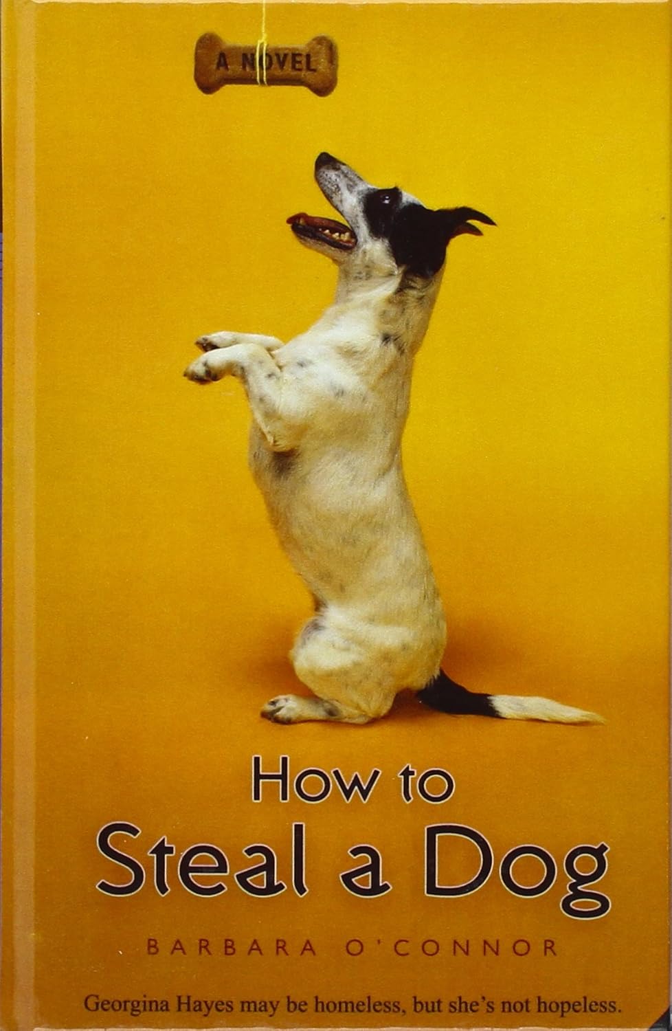 Amazon.co.jp: How to Steal a Dog : 本