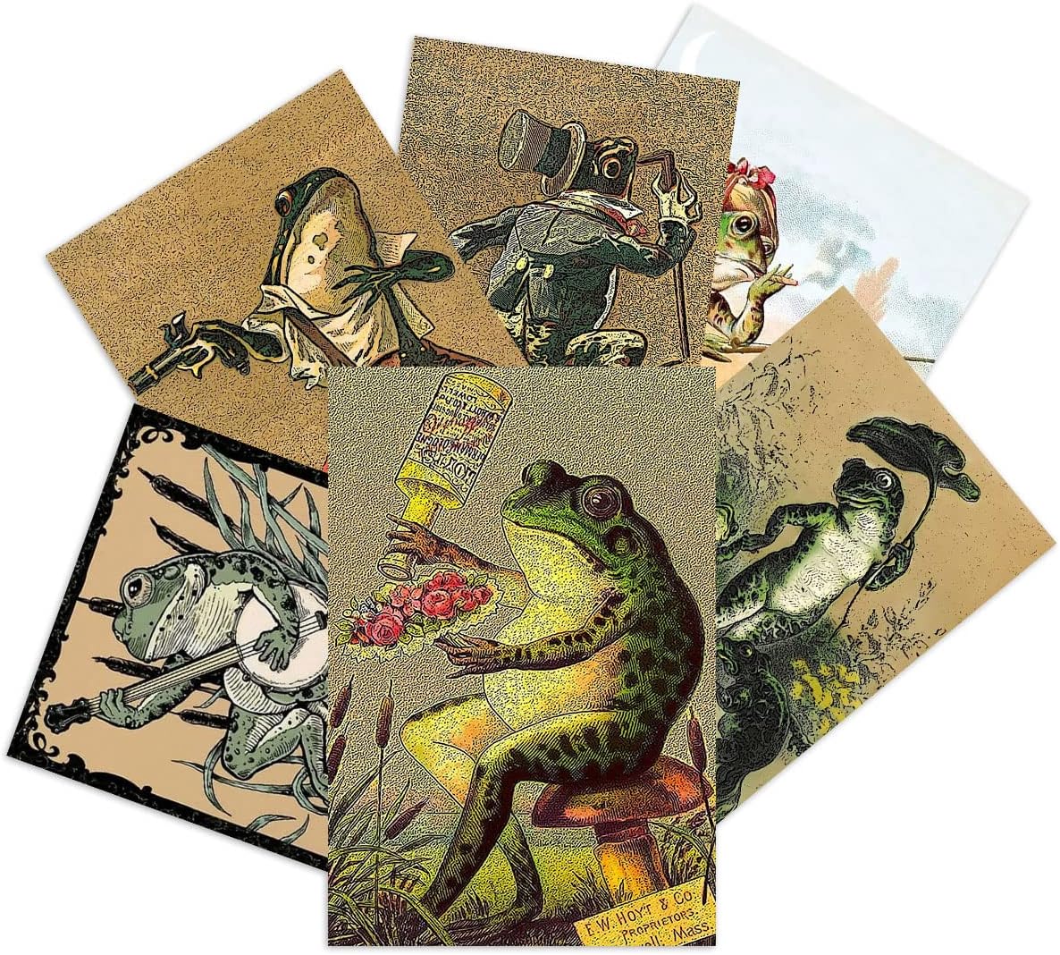 Amazon.com: EXPOTE Vintage Banjo Frog Poster Funny Frog Canvas Painting ...