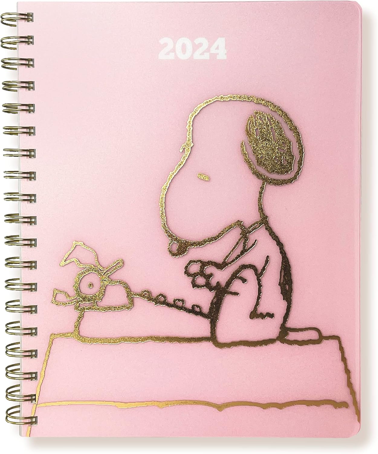 Amazon.com : Graphique 2024 Spiral Frosted Cover Planner | 18 Month ...