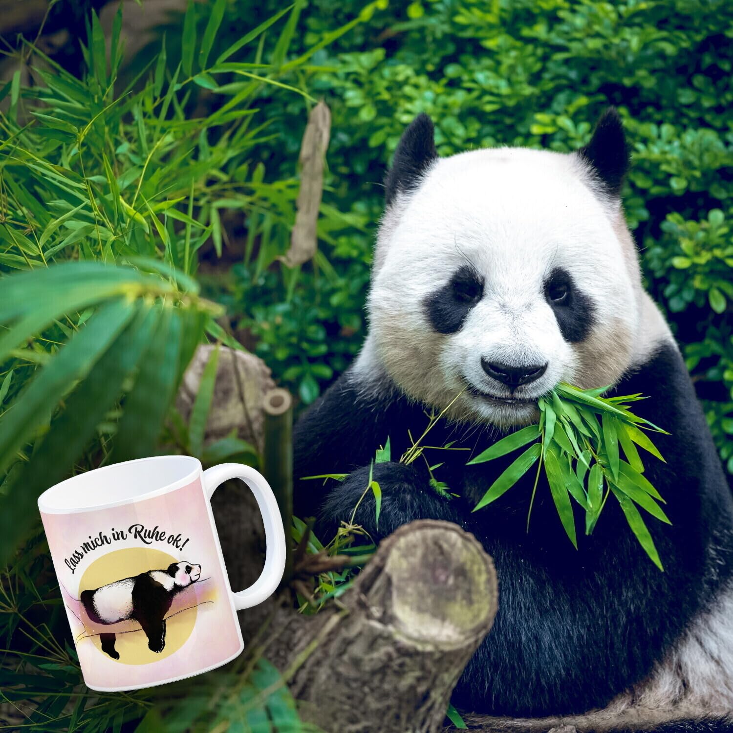Tired Panda Memes 38 Hilarious Panda Memes Perfect For Introverts