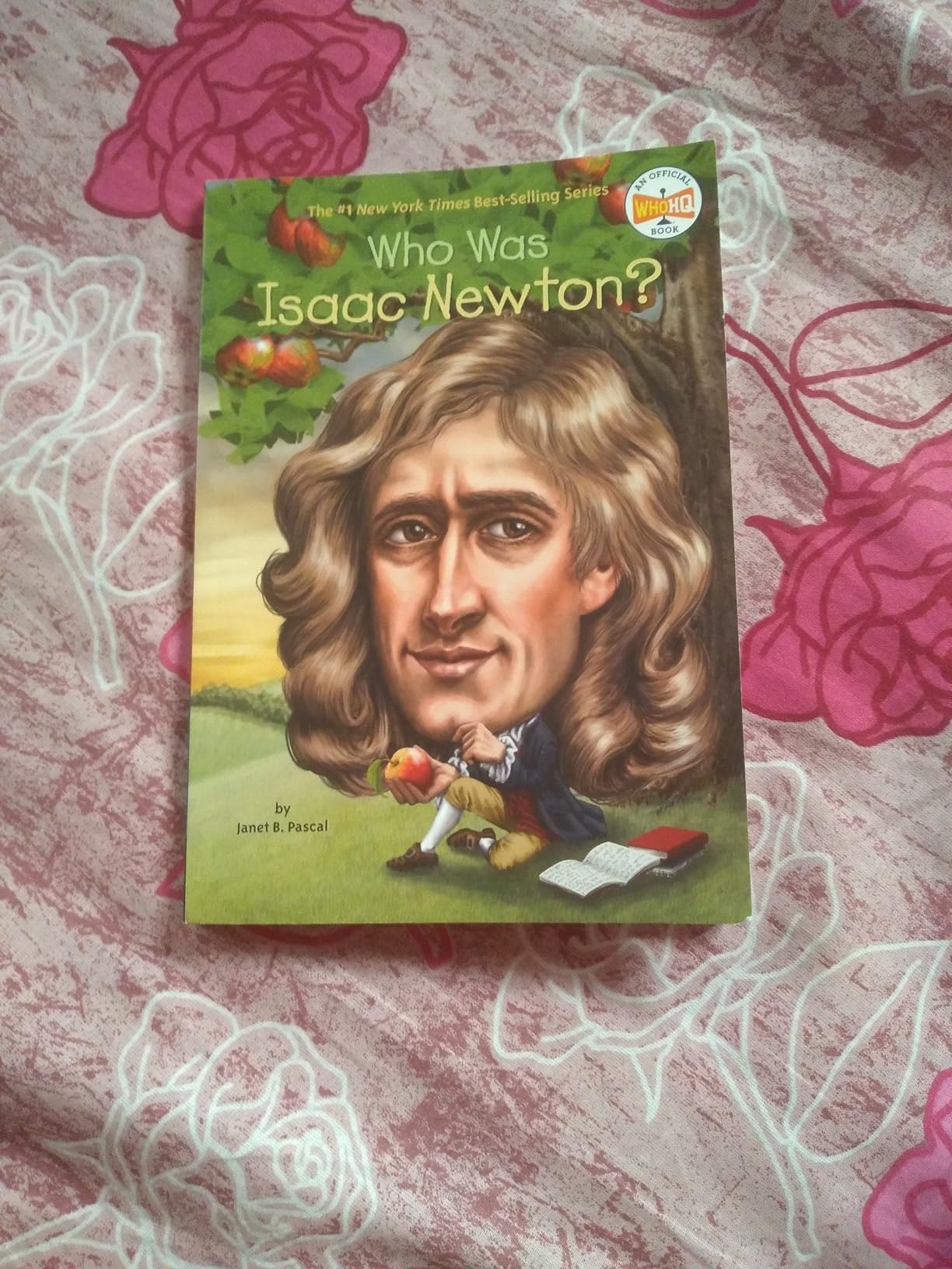 Who Was Isaac Newton? : Pascal, Janet: Amazon.in: Books