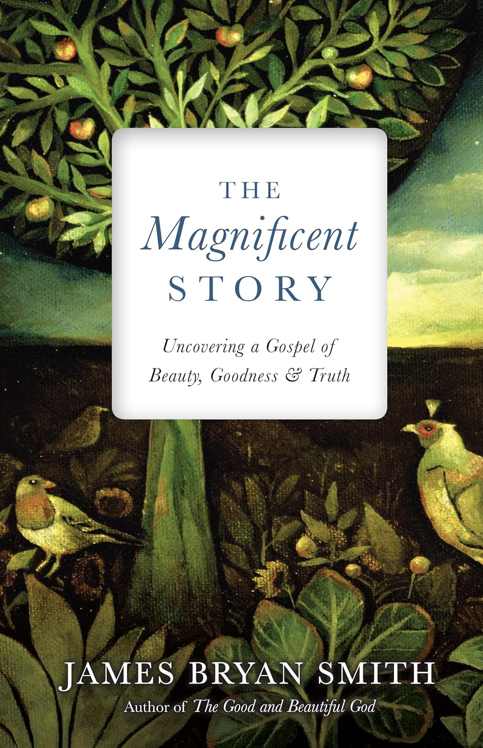 The Magnificent Story: Uncovering a Gospel of Beauty, Goodness, and ...