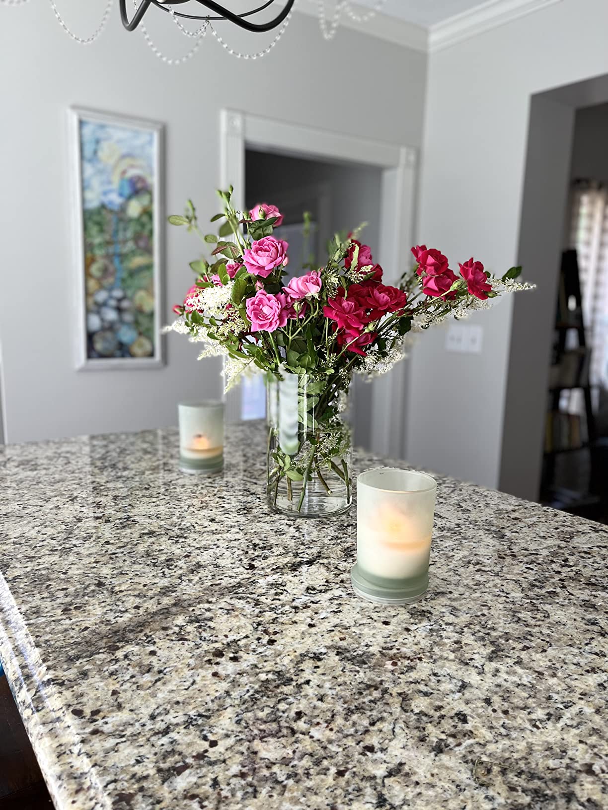 Amazon.com : Home-X Rose Stem Cleaner and Thorn Stripping Tool. Leaf ...