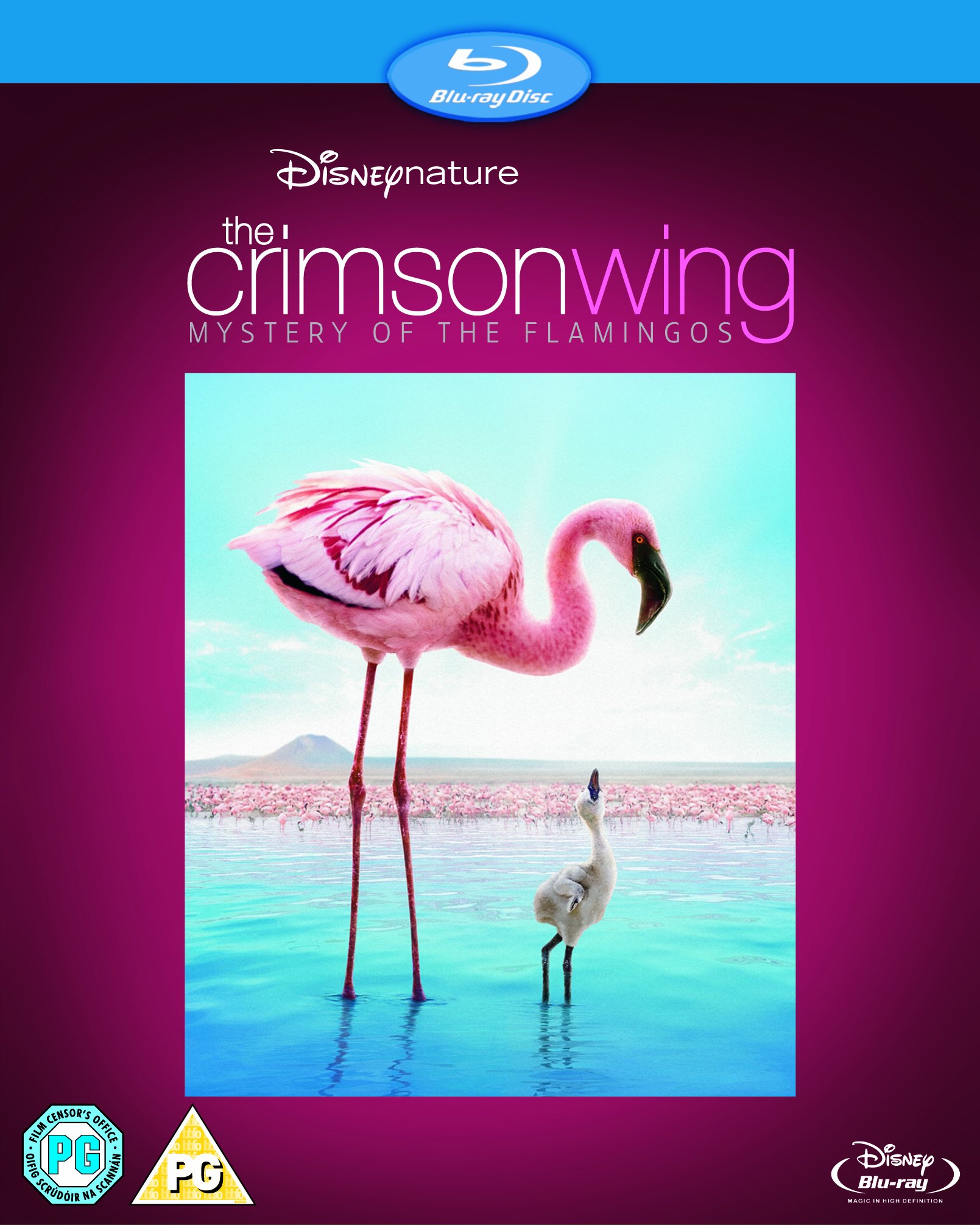 Amazon.com: Crimson Wing [Blu-ray] [Import] : Pink Flamingos!, Matthew ...