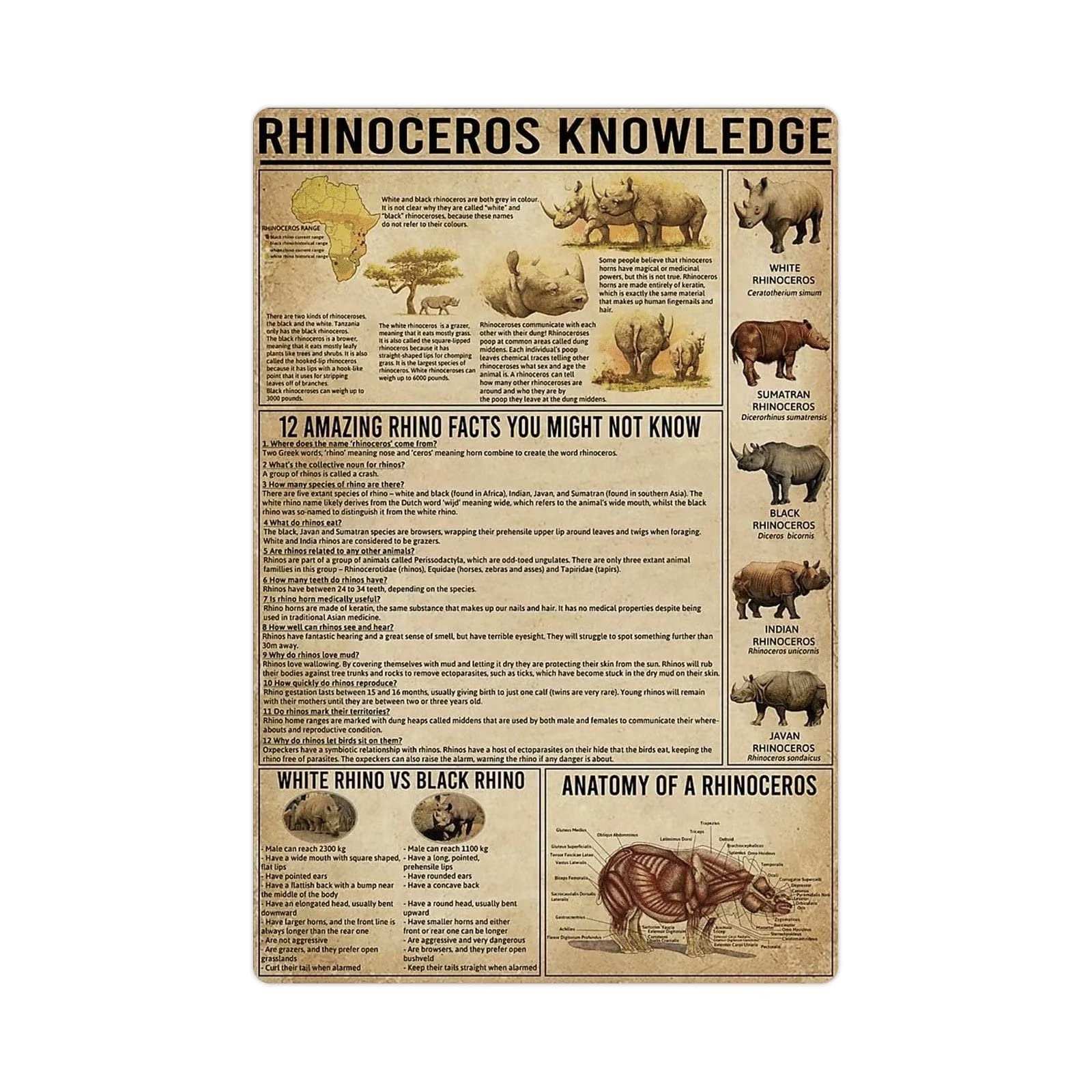 Amazon.com : Rhinoceros Knowledge Metal Tin Signs Rhino Infographics ...