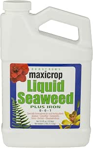 Amazon.com : Maxicrop 2001 Liquid Seaweed Plus Iron Fertilizer, 1-Quart ...