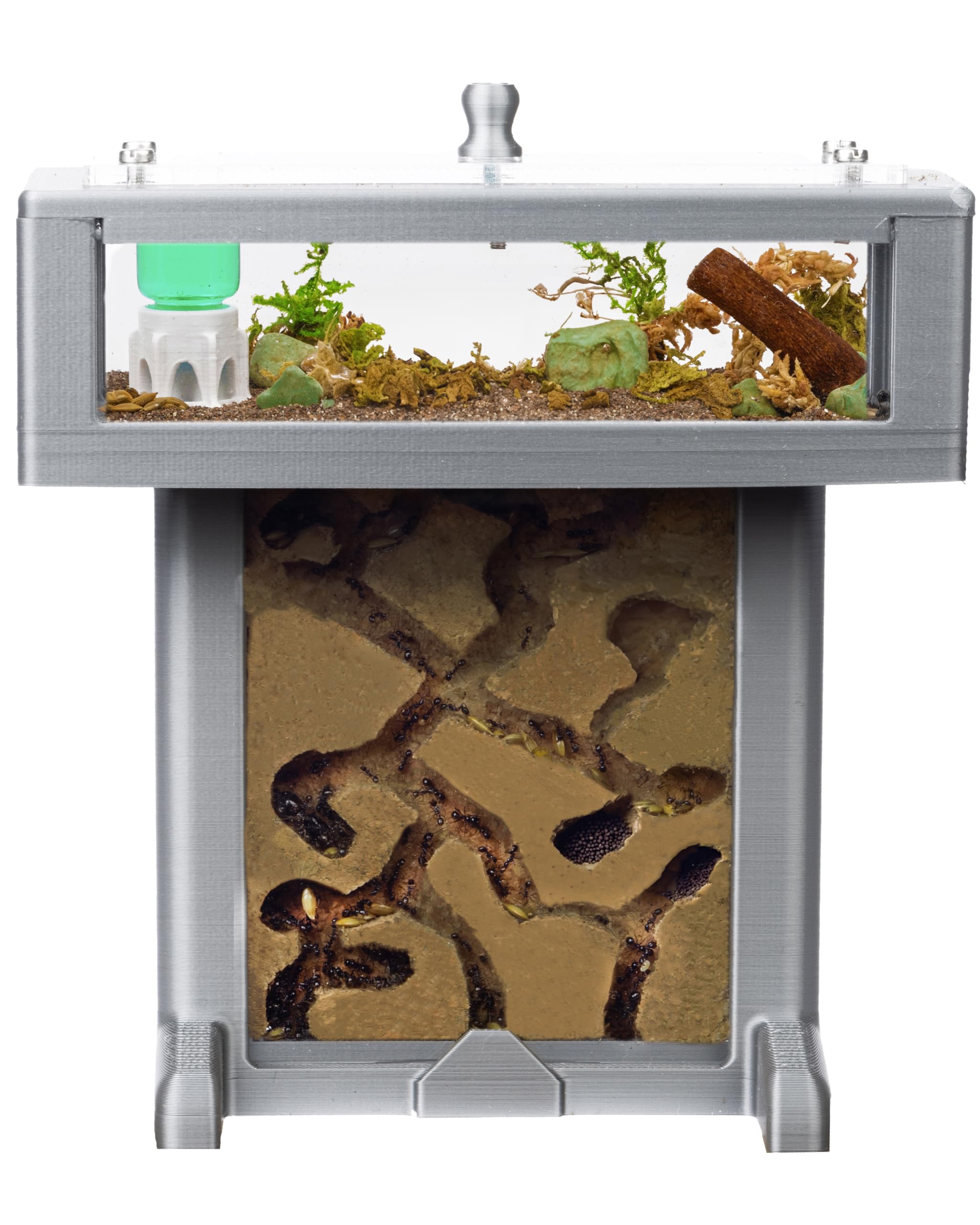 Amazon.com: Anthouse.ES - 3D T-Shaped Foam Ant Nest Kit - Sandwich ...