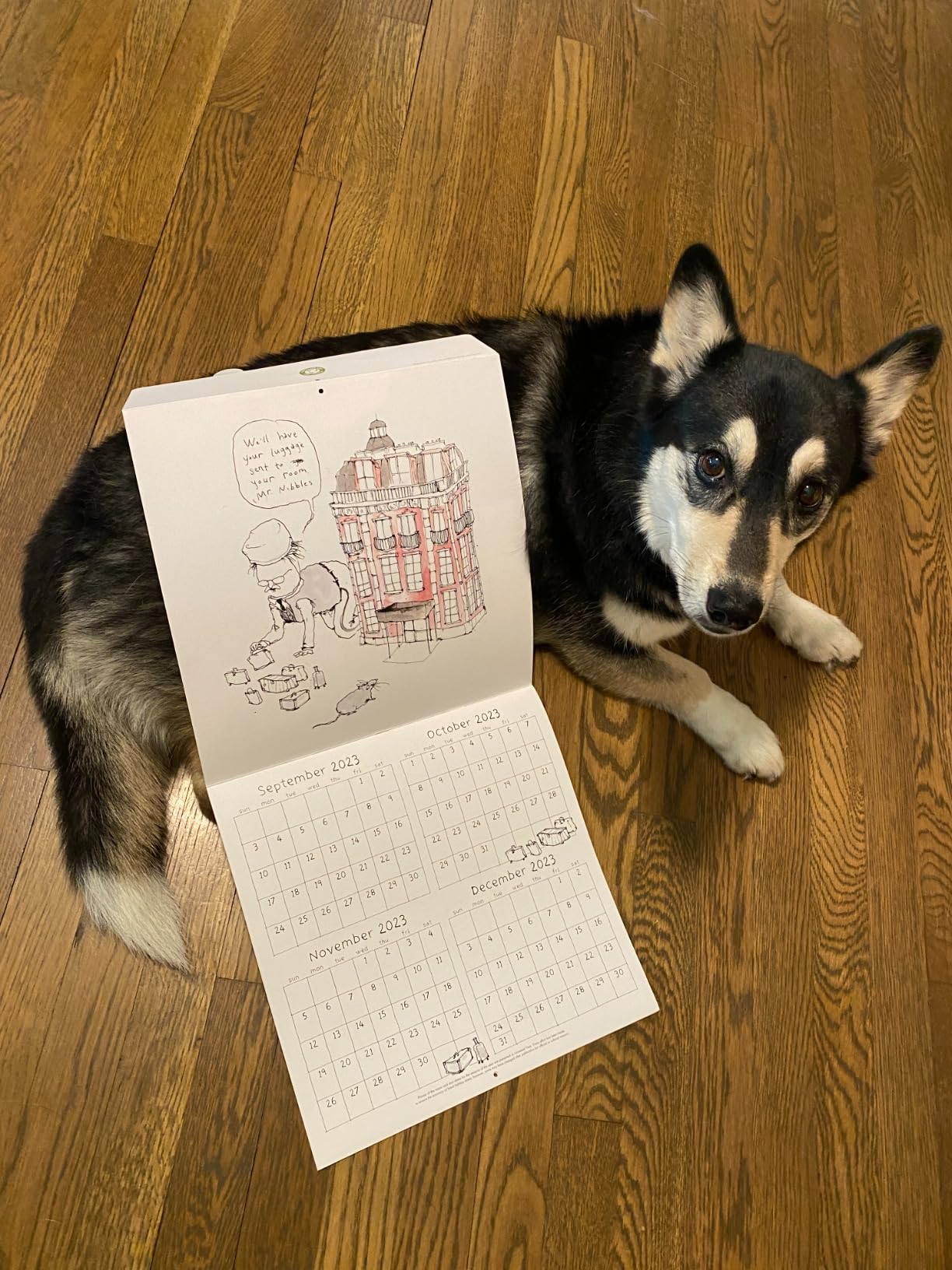 The Art of Pants 2024 Wall Calendar: Mecouch, Josh: 9781524882150 ...